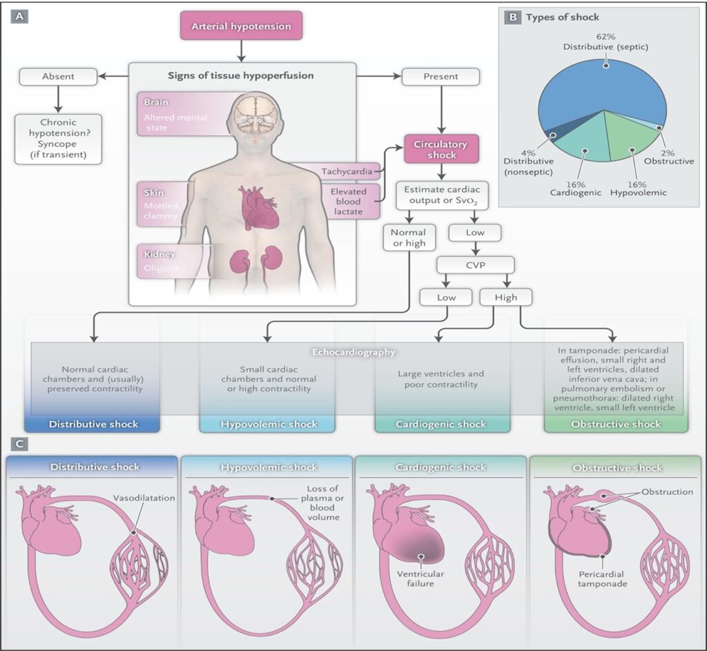 Critical Care Pearls